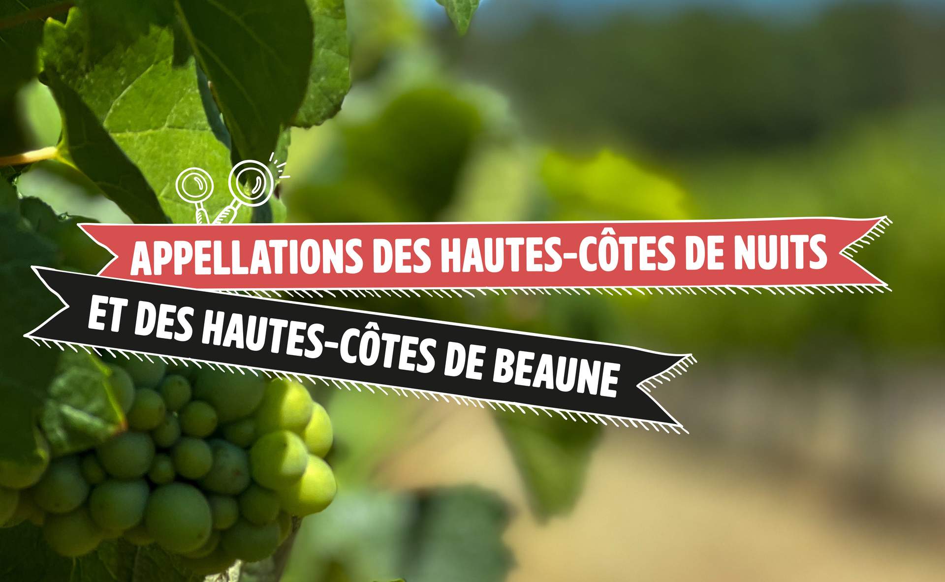 Appellations des Hautes-Côtes de Nuits et des Hautes-Côtes de Beaune ...