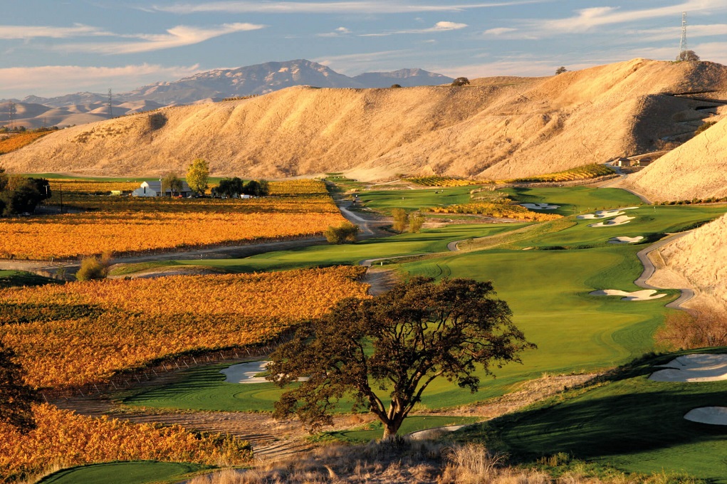 Golden state of mind - Journal du Vin