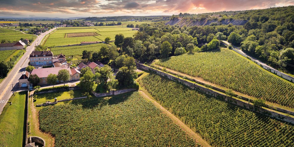Le Domaine de l’Arlot - Journal du Vin