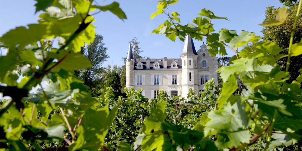 Guide des meilleurs vins de France 2025 : quels sont les domaines qui ...